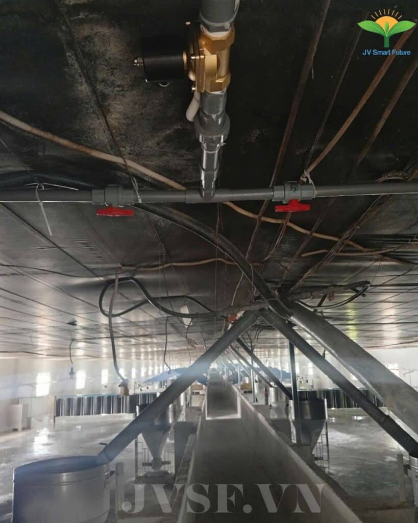 CHĂN NUÔI HEO VÀ VẤN NẠN DỊCH TẢ HEO CHÂU PHI (ASF) - JV Smart Future