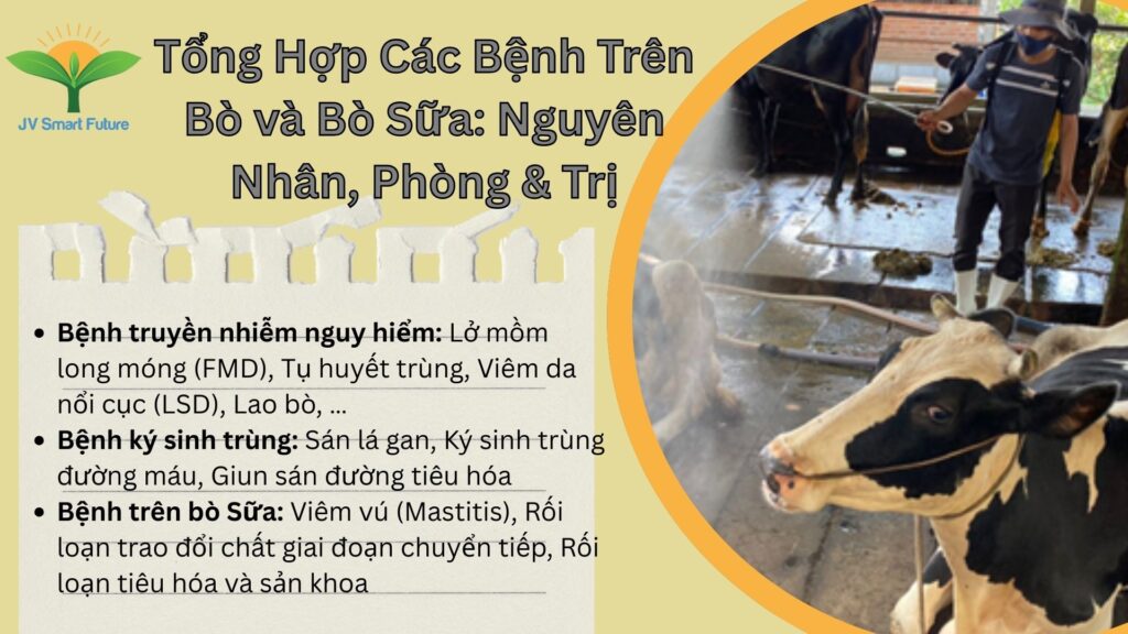 Tổng Hợp Các Bệnh Trên Bò và Bò Sữa: Nguyên Nhân, Phòng & Trị - JV ...